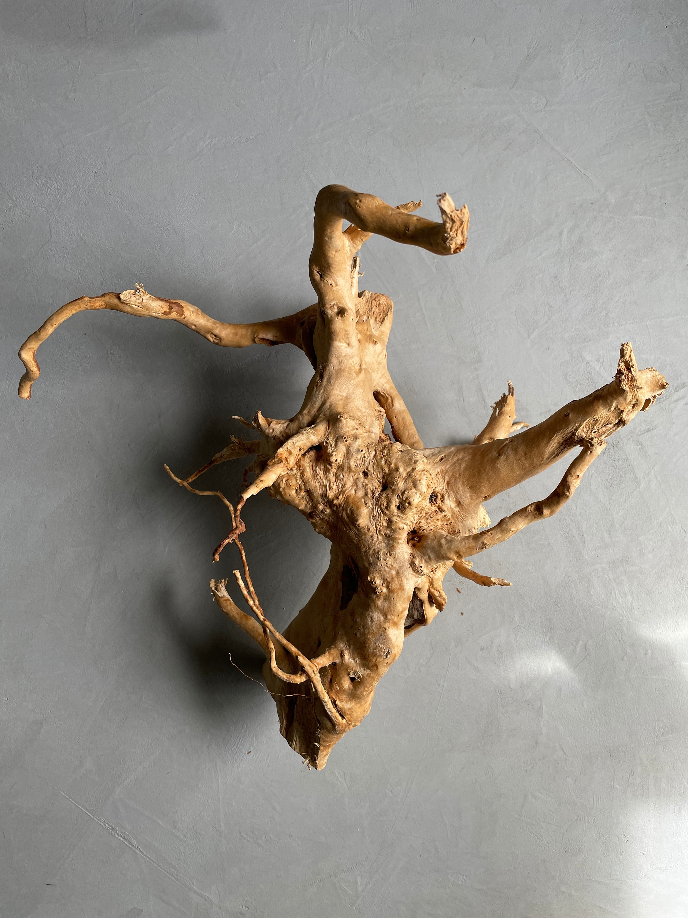 AZALEA REDMOOR ROOTS Terrarium Supplies Decorative Roots - Etsy UK