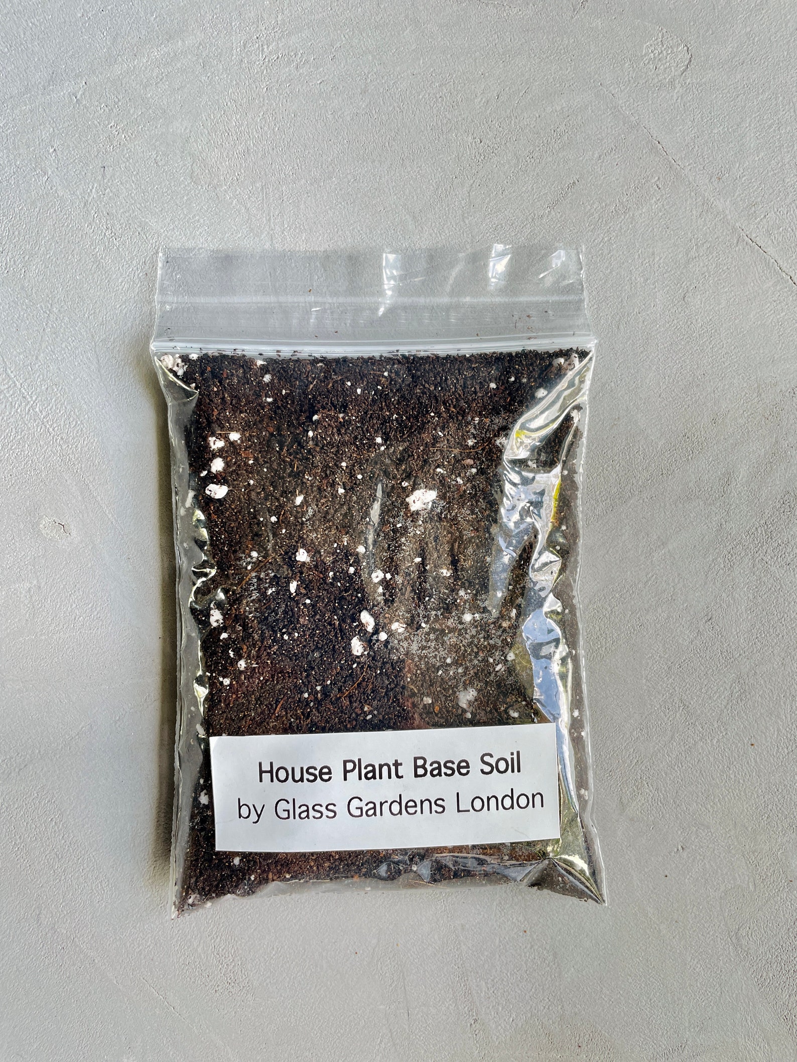 MINI IVY PLANT Hedera Hibernica 5cm Pot Perfect House - Etsy UK