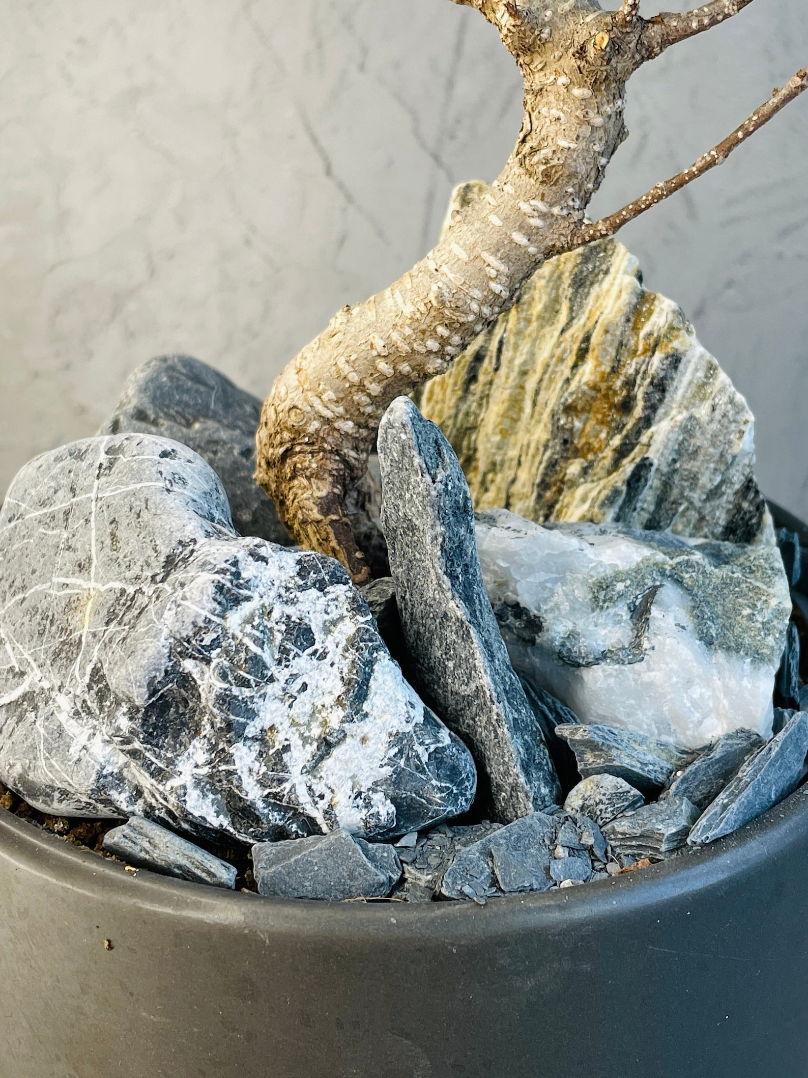 BONSAI MOUNTAIN ROCKS | Premium Decorative Bonsai Rocks | Terrarium ...
