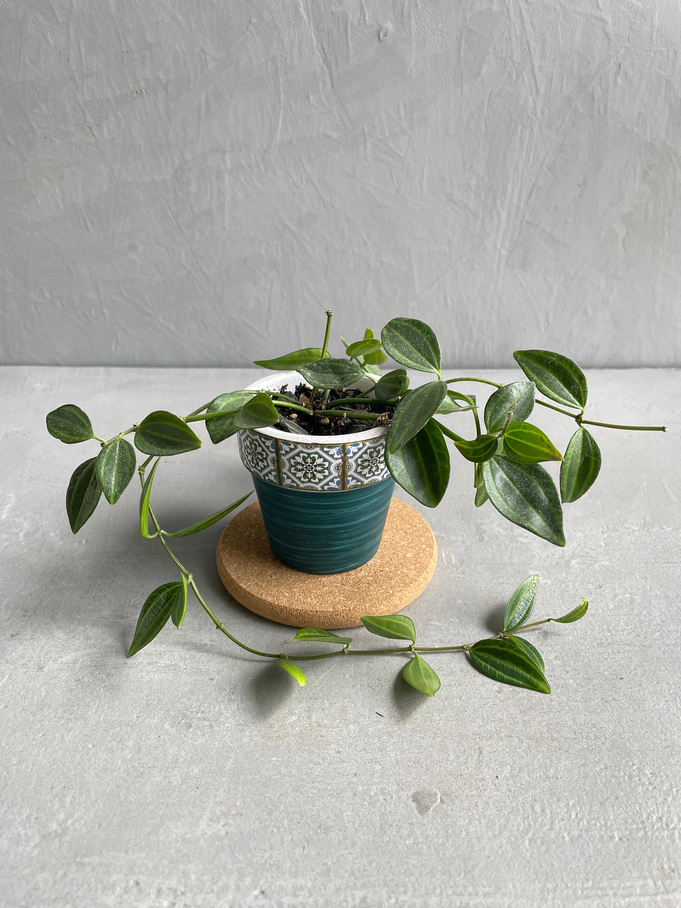 Natural Cork Tray Surface Protector Round Design - Etsy UK