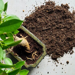BONSAI SOIL MIX | High Quality Substrate | Plant Supplies | Bonsai Tree ...