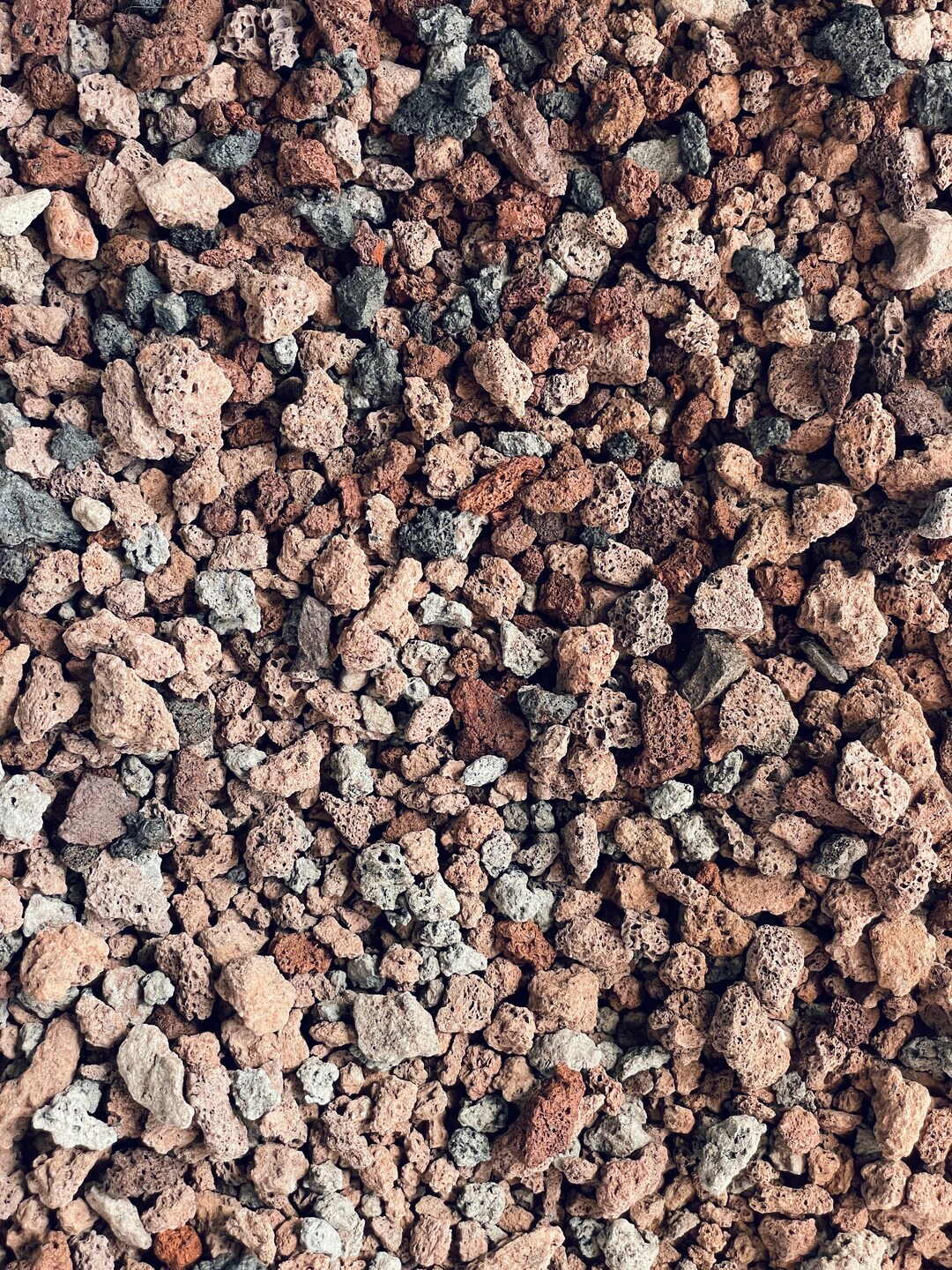 LAVA ROCK GRAVEL | Terrarium Supplies | Natural Volcanic Rocks ...