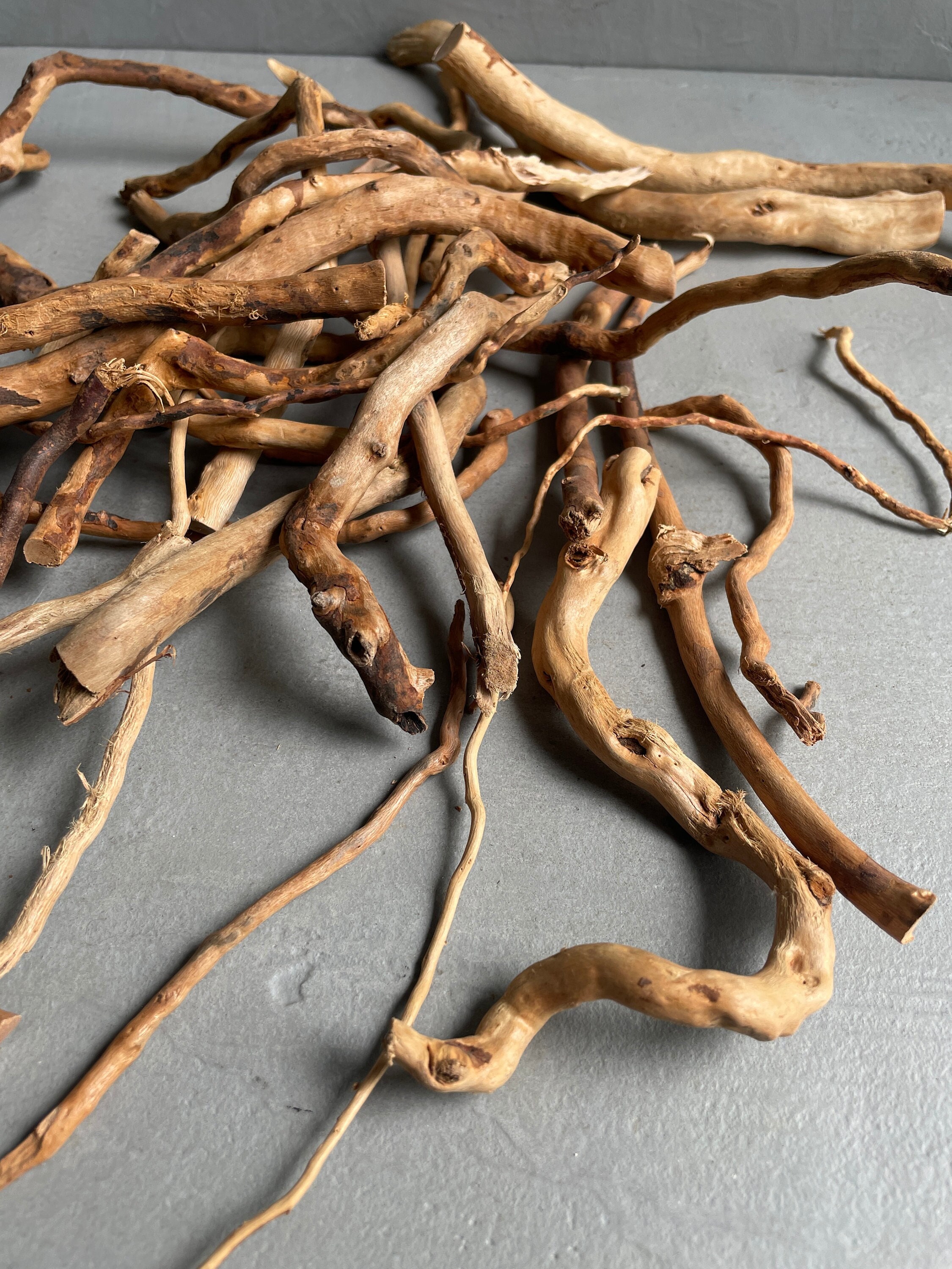 Mini AZALEA REDMOOR ROOTS | Terrarium Supplies | Decorative Roots ...