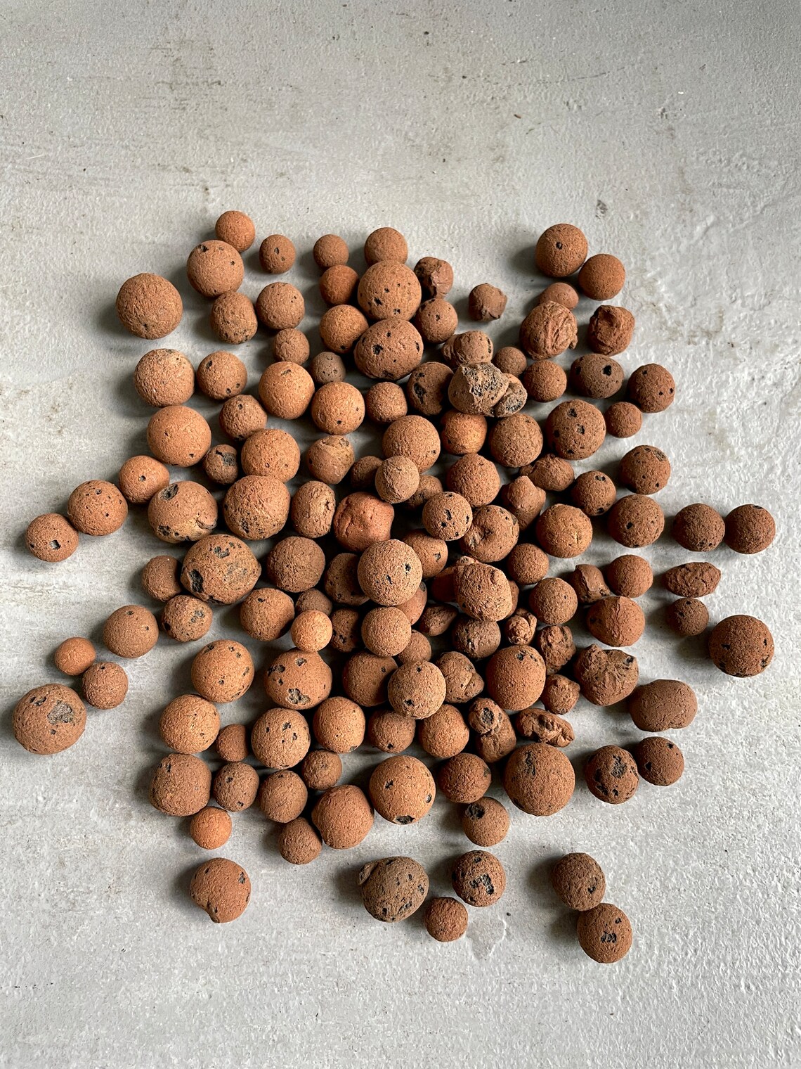 PREMIUM CLAY PEBBLES | Terrarium Supplies | Terrarium Kit Component ...