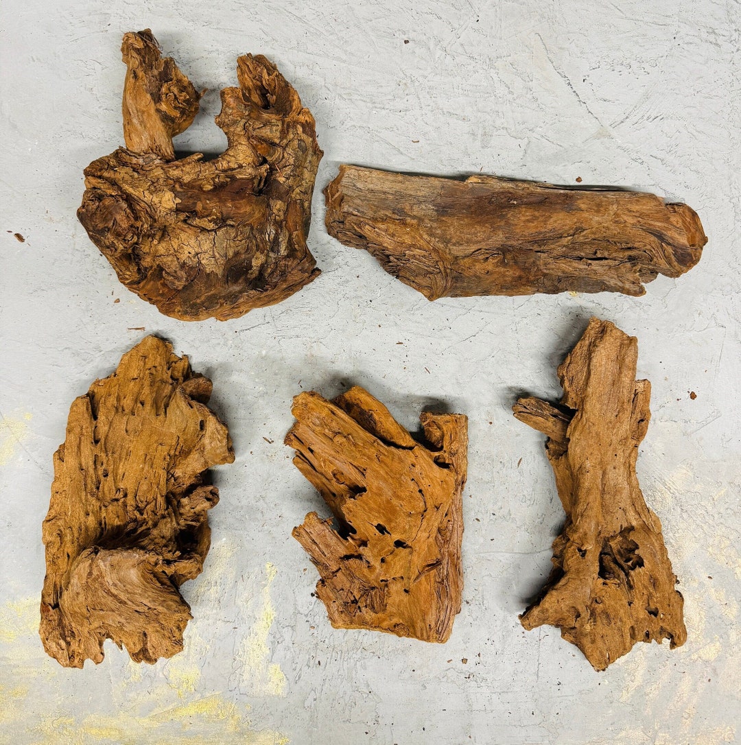 X L MANGROVE DRIFTWOOD | Terrarium Supplies | Decorative Bogwood ...