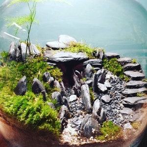 BONSAI MOUNTAIN ROCKS | Premium Decorative Bonsai Rocks | Terrarium ...