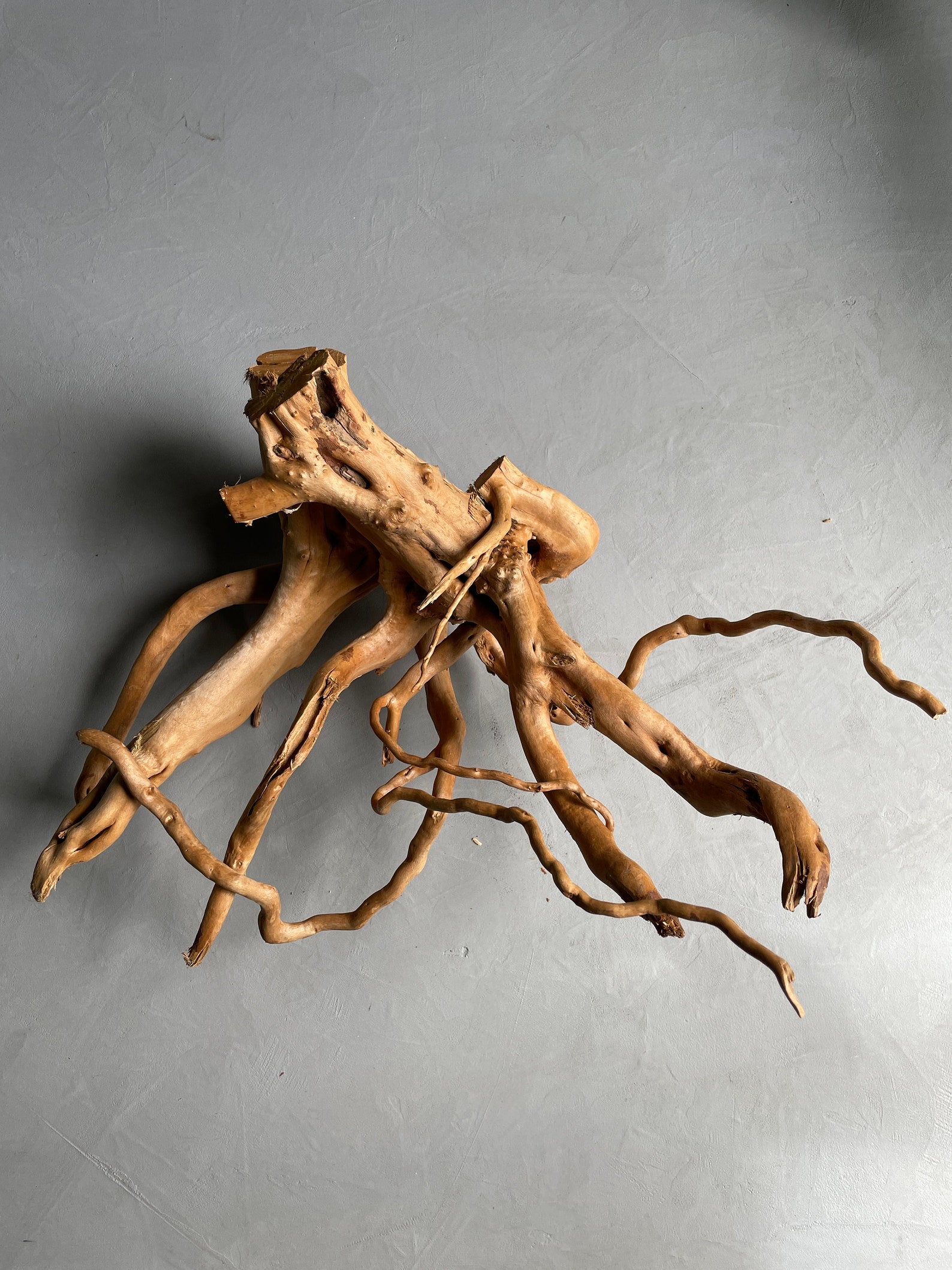 AZALEA REDMOOR ROOTS Terrarium Supplies Decorative Roots - Etsy UK
