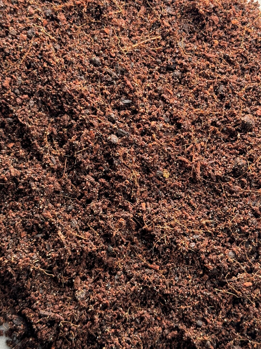 TERRARIUM SOIL MIX | High Quality Substrate | Terrarium Supplies ...