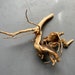 AZALEA REDMOOR ROOTS Terrarium Supplies Decorative Roots Terrarium ...