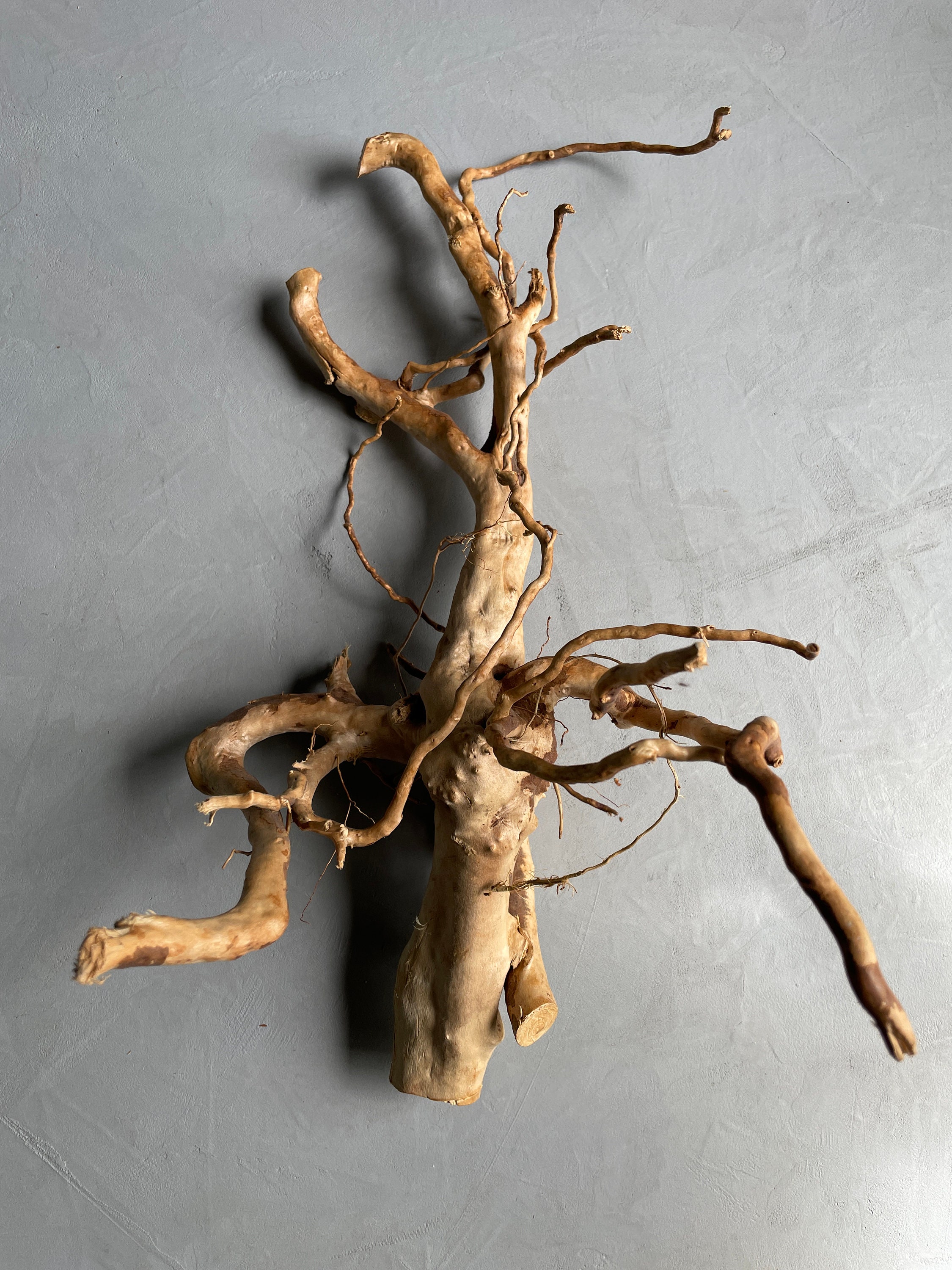 AZALEA REDMOOR ROOTS Terrarium Supplies Decorative Roots - Etsy UK