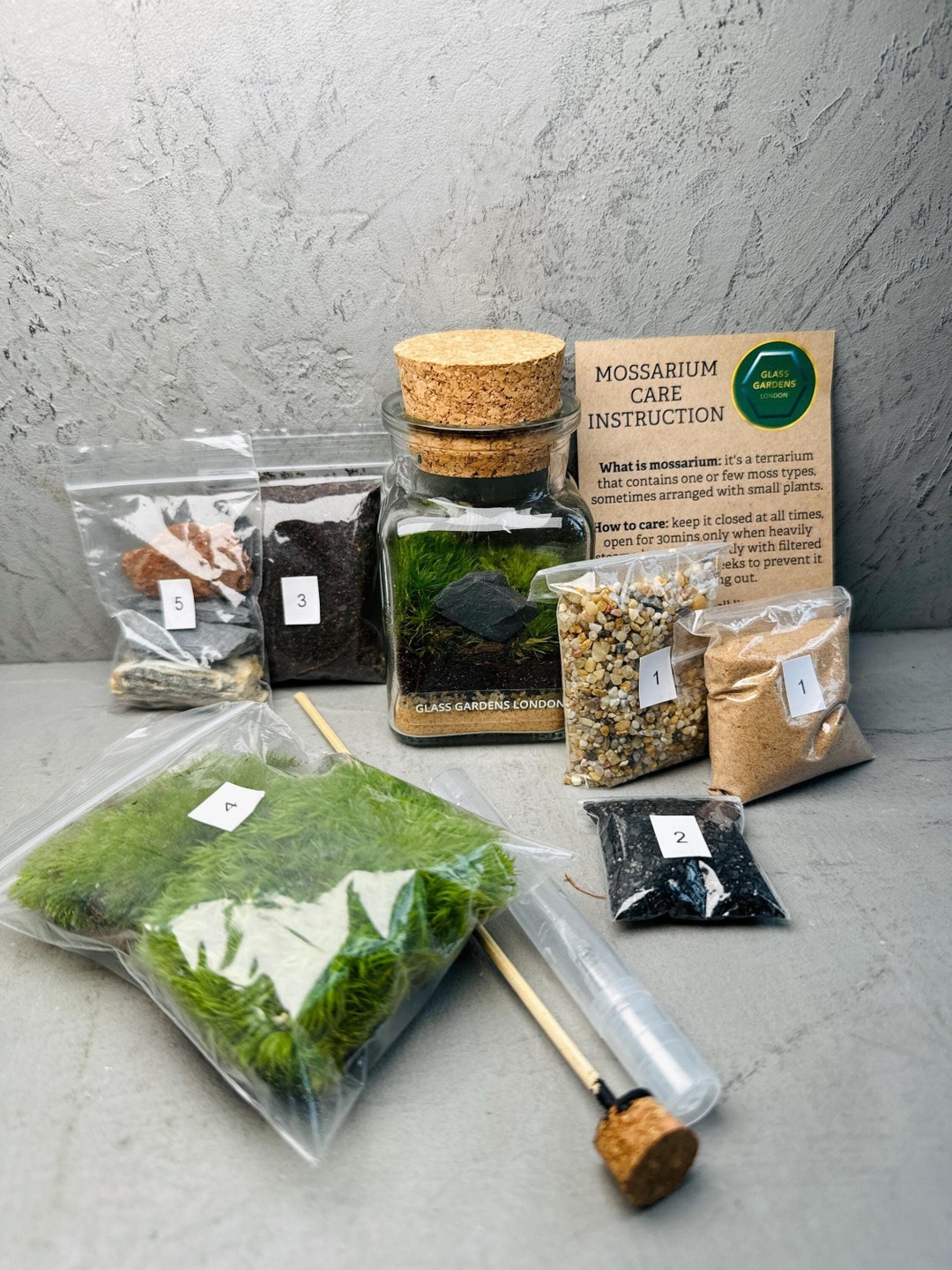 DIY MOSSARIUM KIT Natural Fresh Moss Miniature Square Jar Mossarium ...