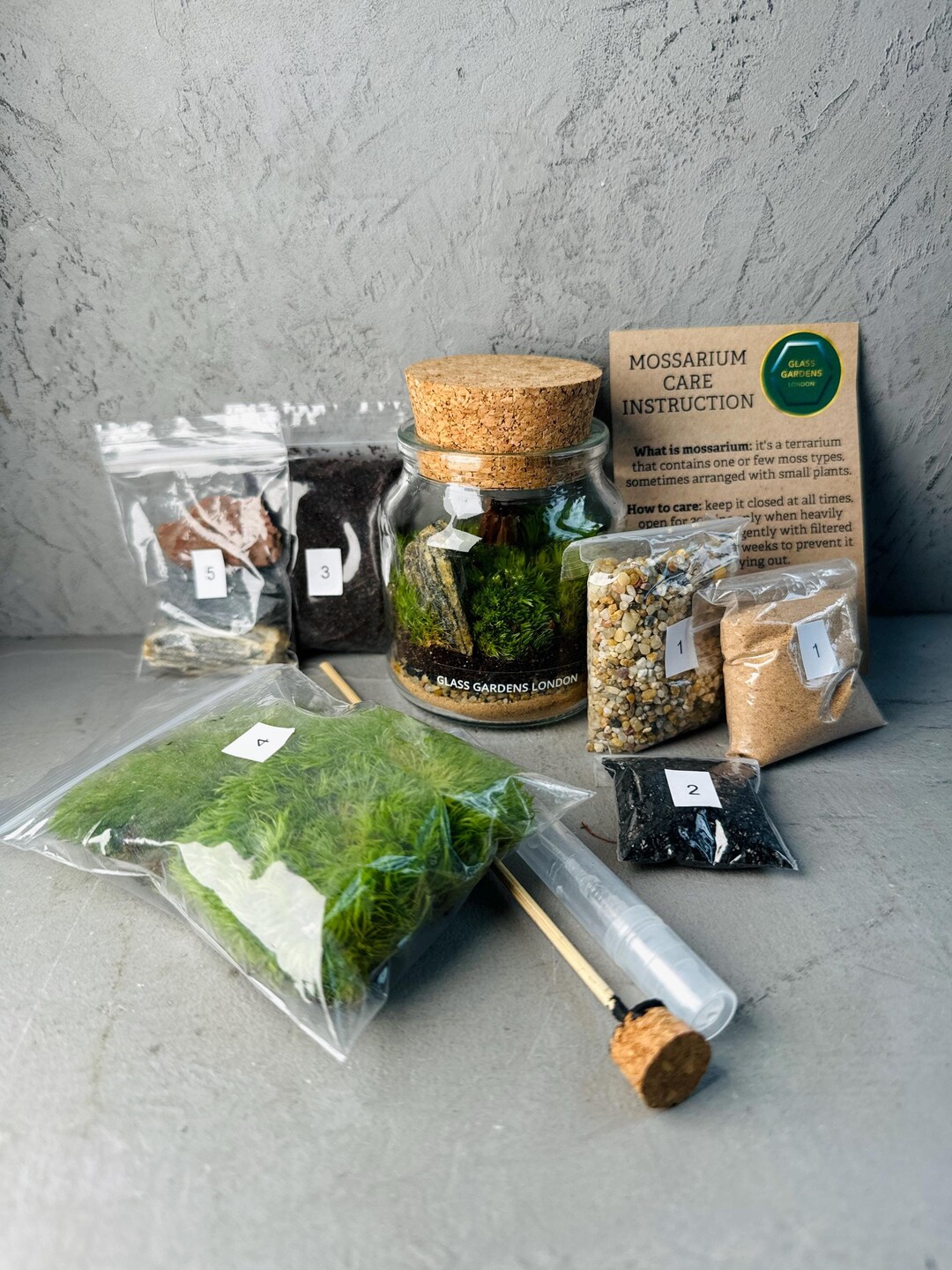 DIY MOSSARIUM KIT | Natural Fresh Moss | Miniature Round Jar Mossarium ...