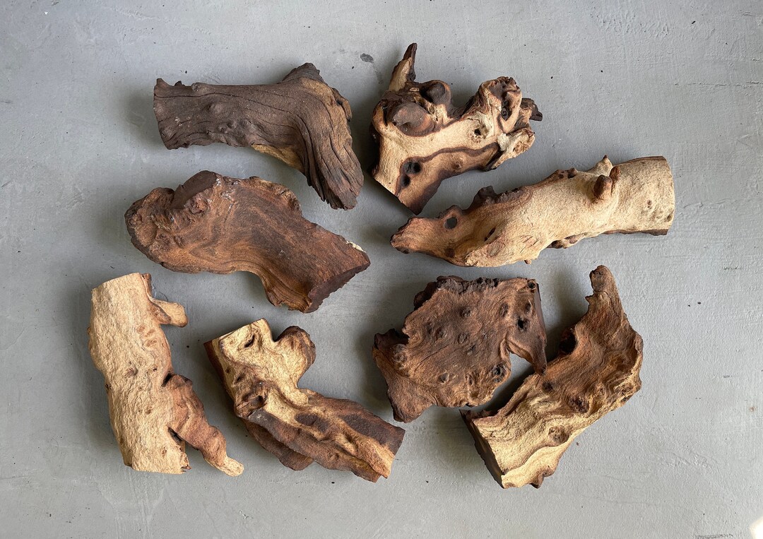 MOPANI DECOR ROOTS Aquariums Vivariums Terrariums Craft Decorative Wood ...