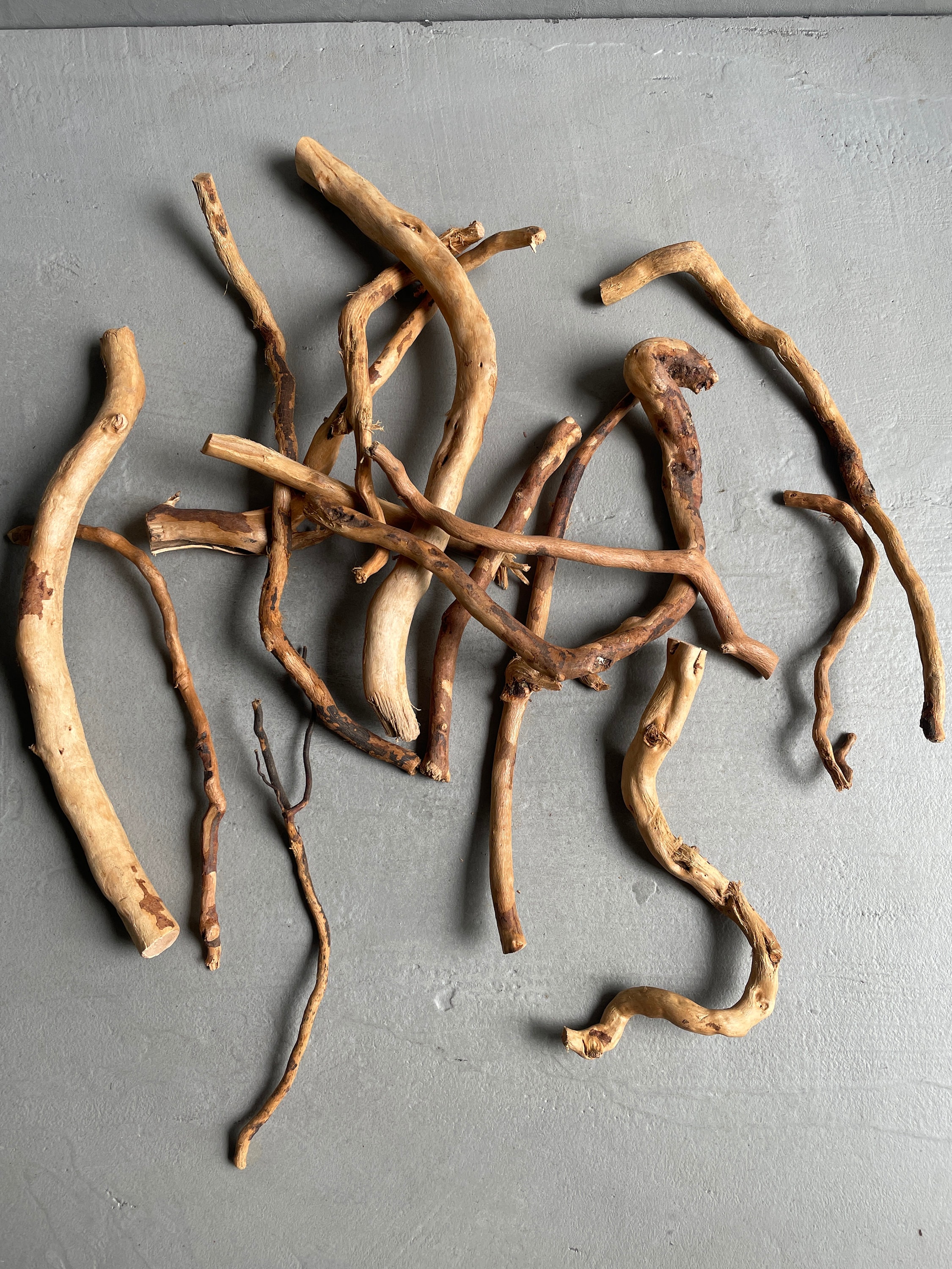 Mini AZALEA REDMOOR ROOTS | Terrarium Supplies | Decorative Roots ...