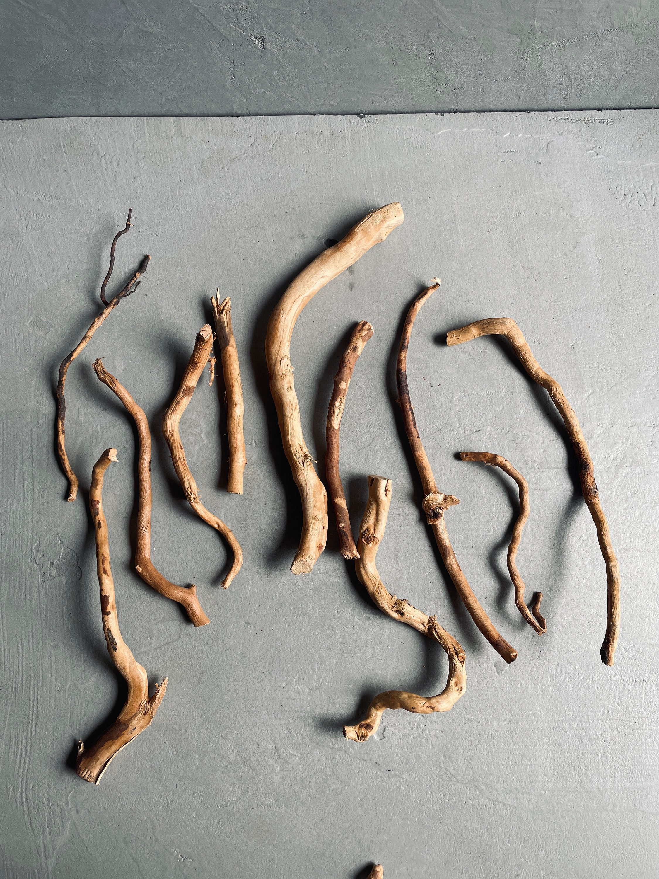 Mini AZALEA REDMOOR ROOTS | Terrarium Supplies | Decorative Roots ...