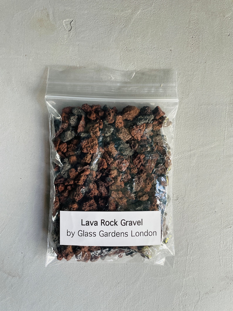 LAVA ROCK GRAVEL | Terrarium Supplies | Natural Volcanic Rocks ...