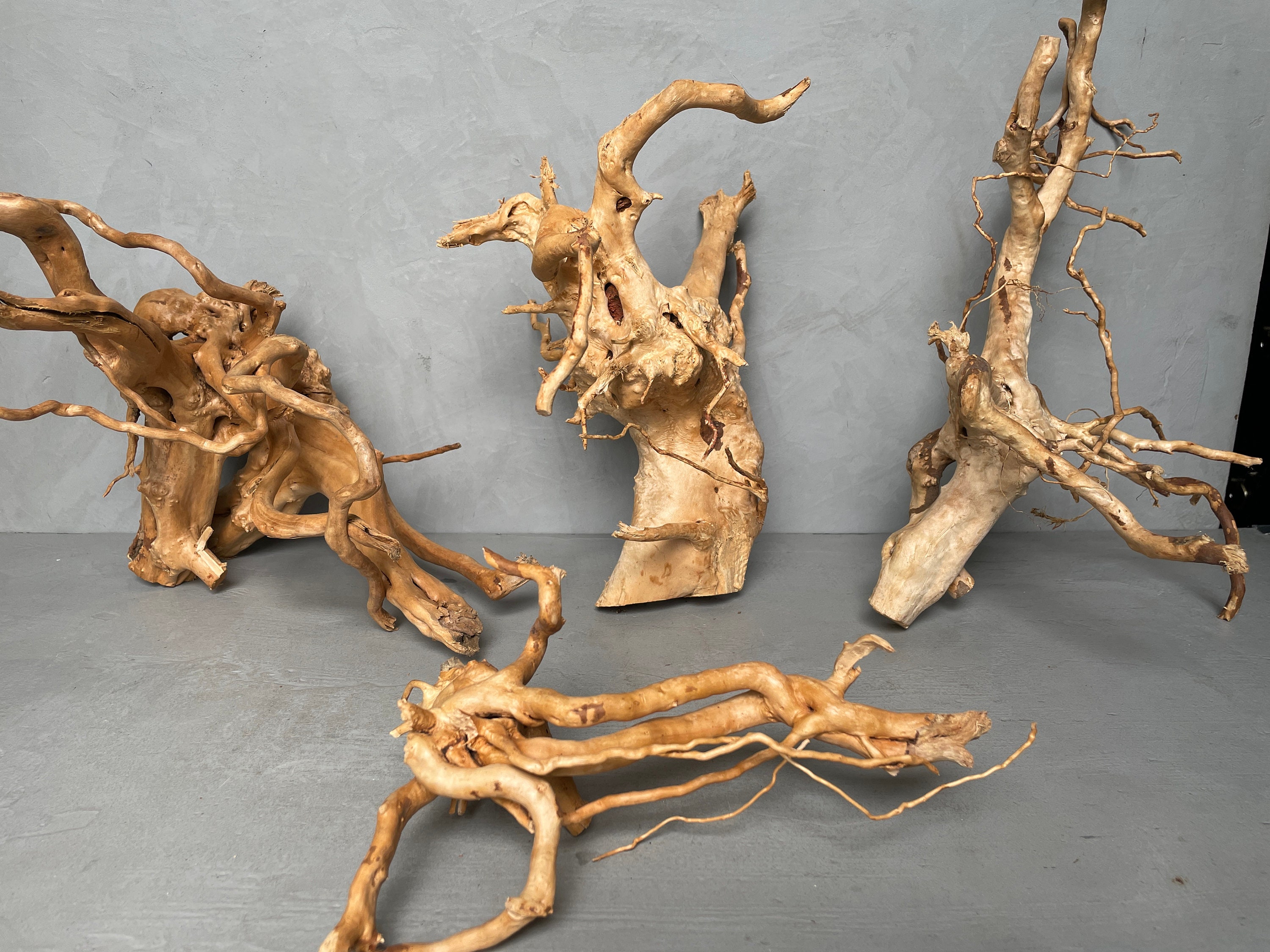 AZALEA REDMOOR ROOTS Terrarium Supplies Decorative Roots - Etsy UK