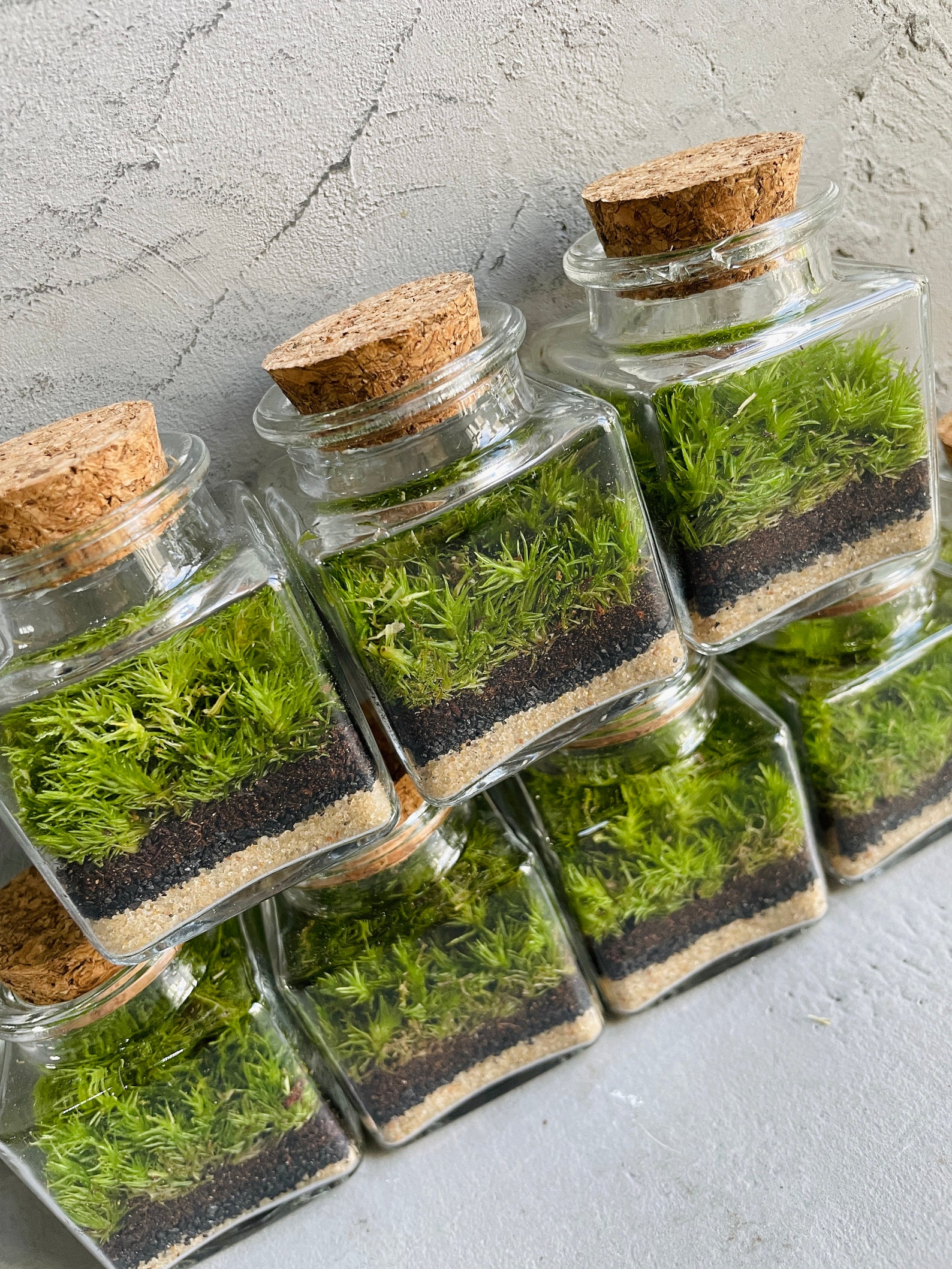 MINI MOSSARIUM JARS | Natural Fresh Moss | Miniature Terrarium | Moss ...