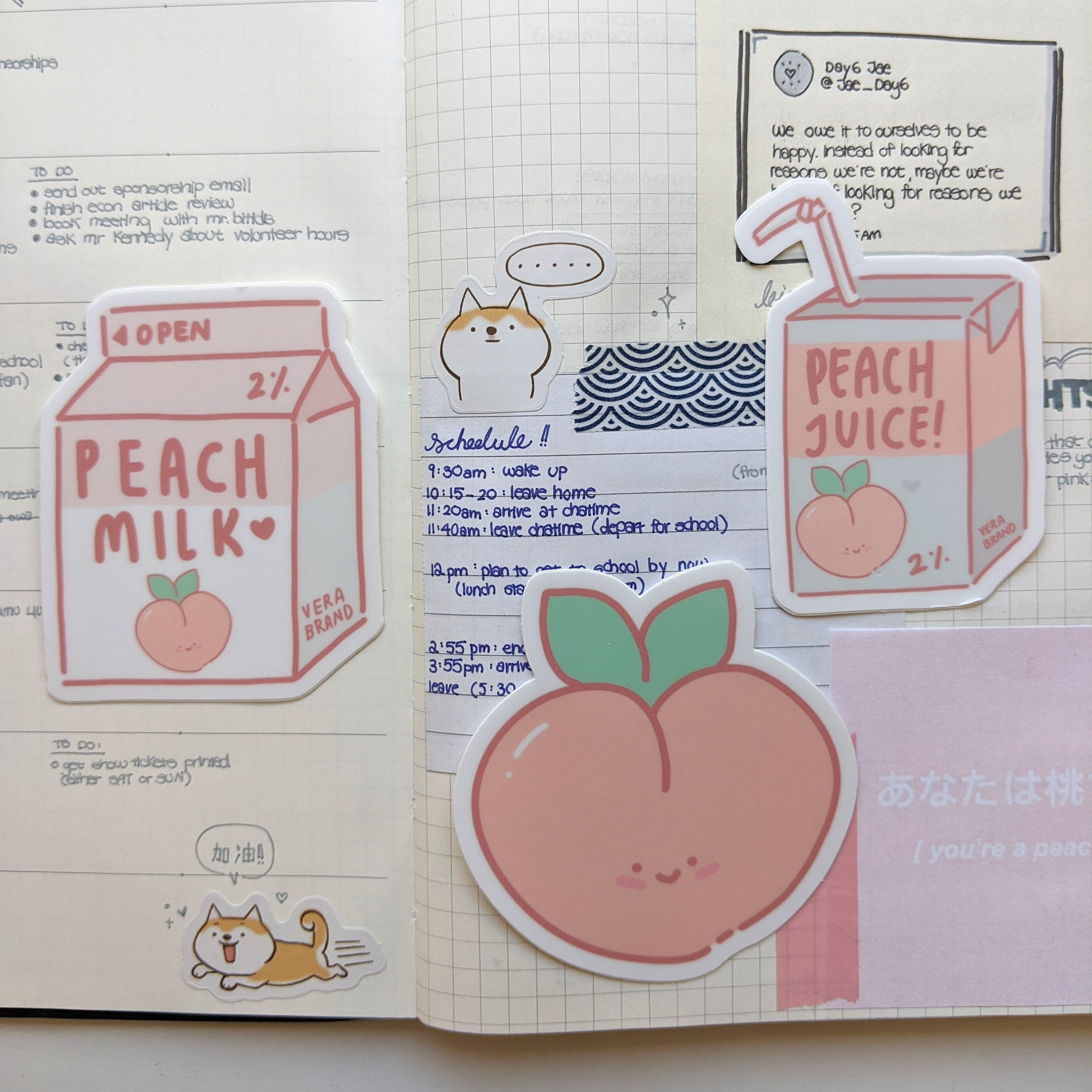 PEACH VINYL STICKERS | Etsy Canada