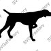 GSP Cut Out SVG Digital Download German Shorthaired Pointer - Etsy