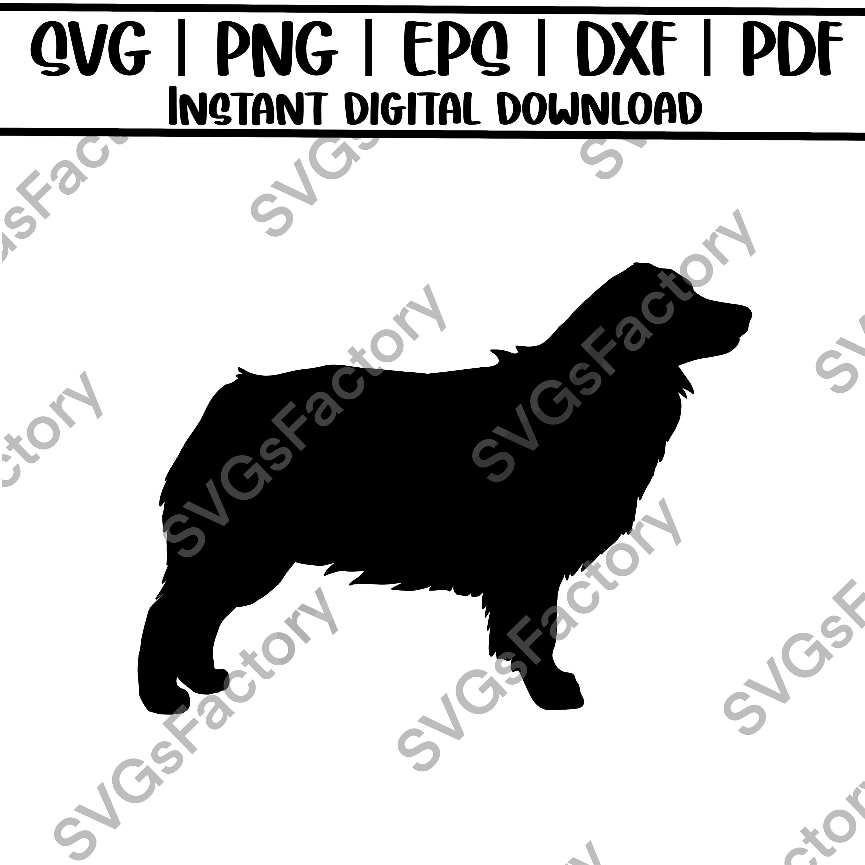 Australian Shepherd Cut Out SVG Digital Download AS Decal | Etsy