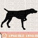 GSP Cut Out SVG Digital Download | German Shorthaired Pointer Decal - Etsy