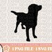 GSP Cut Out SVG Digital Download German Shorthaired Pointer Decal - Etsy