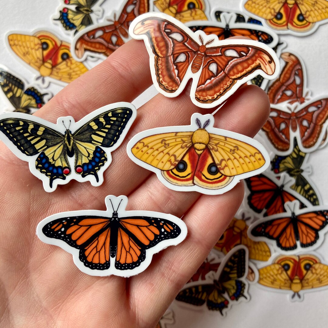 Mini Butterfly and Moth Sticker Pack Monarch Swallowtail - Etsy