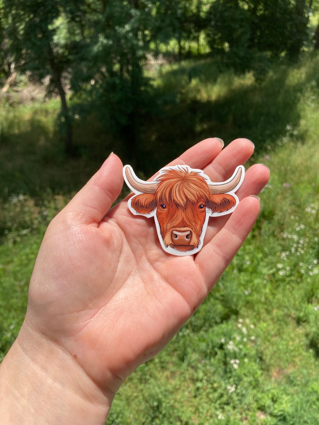 Highland Cow Head Sticker - Etsy