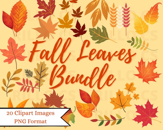 FALL Leaves Bundle Clipart Clip Art PNG Images Digital | Etsy