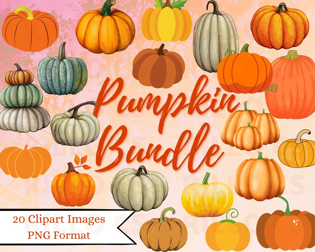 Pumpkin Bundle Clipart Clip Art PNG Images Digital Download - Etsy