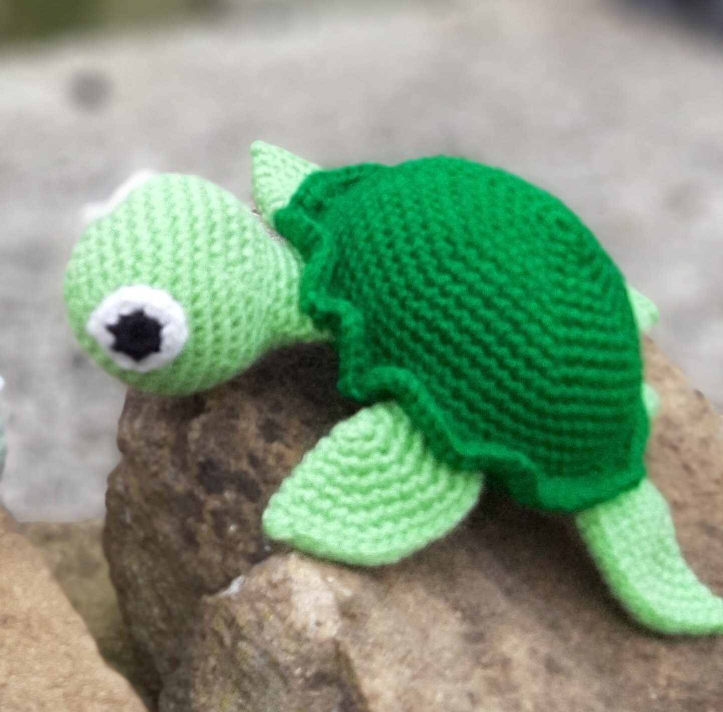 Turtle Crochet Kit Learn to Crochet Kit Beginner Birthday - Etsy