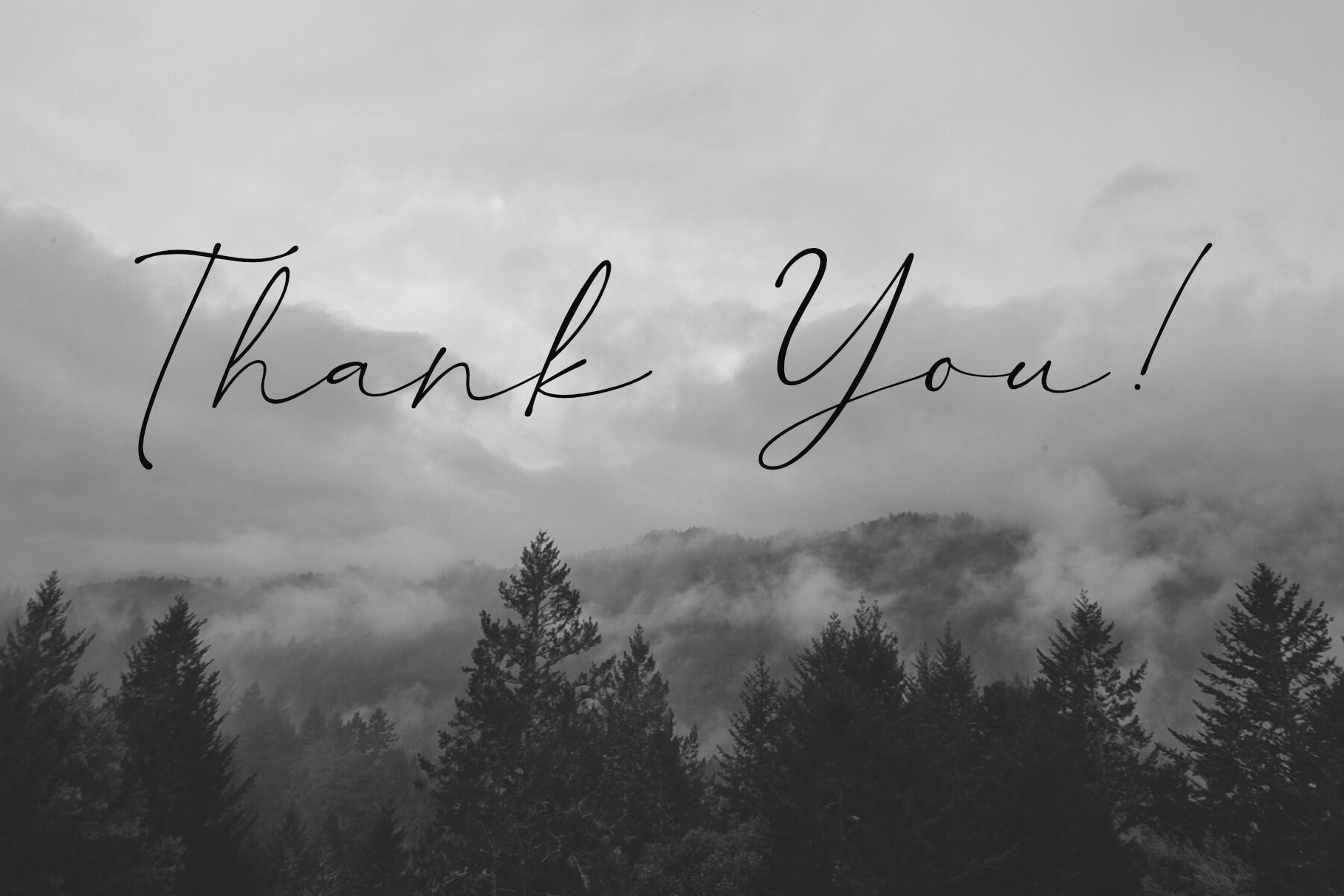 Instant Download, Commercial Use Font, Raffishly, Modern Script Font ...