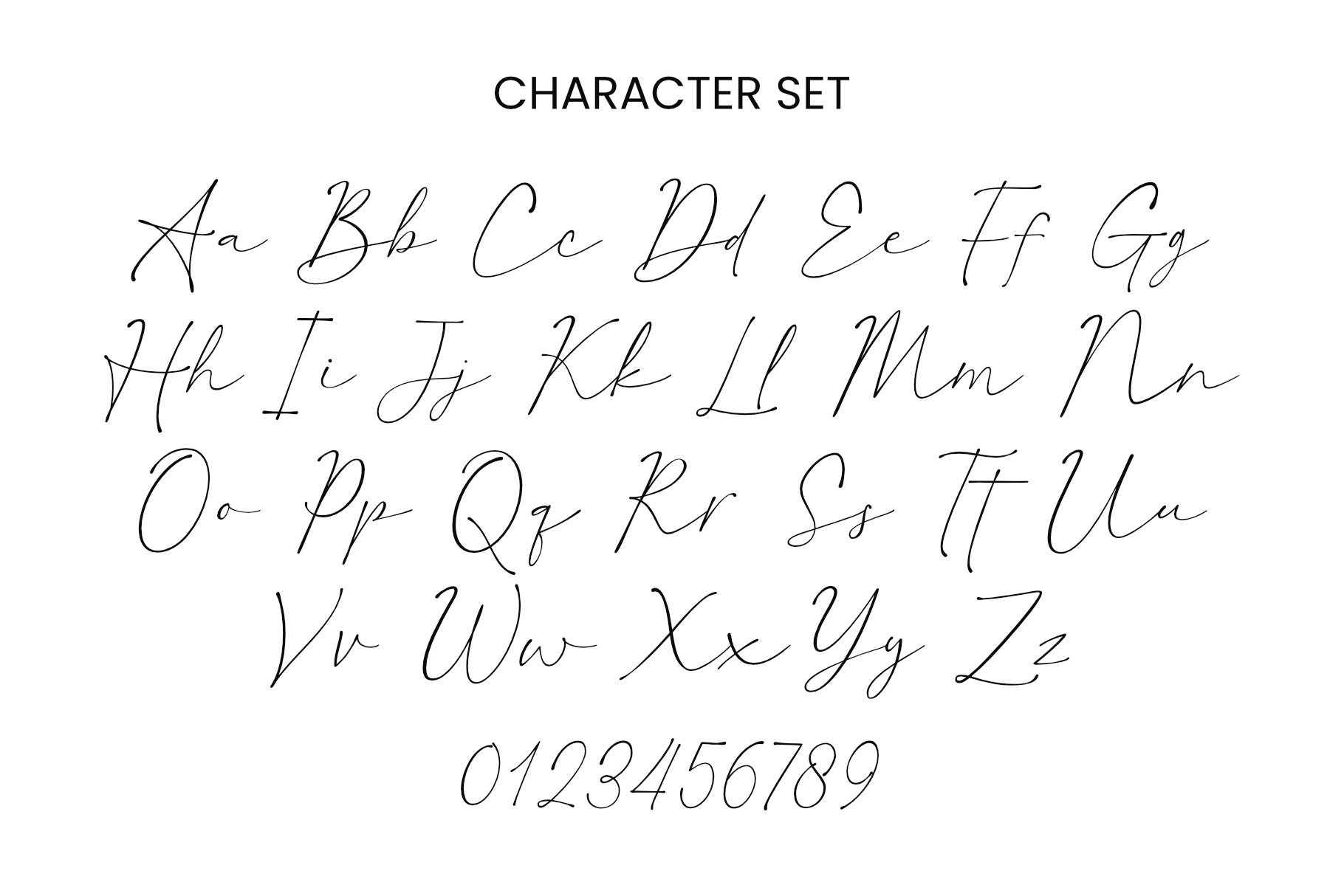 Instant Download, Commercial Use Font, Raffishly, Modern Script Font ...