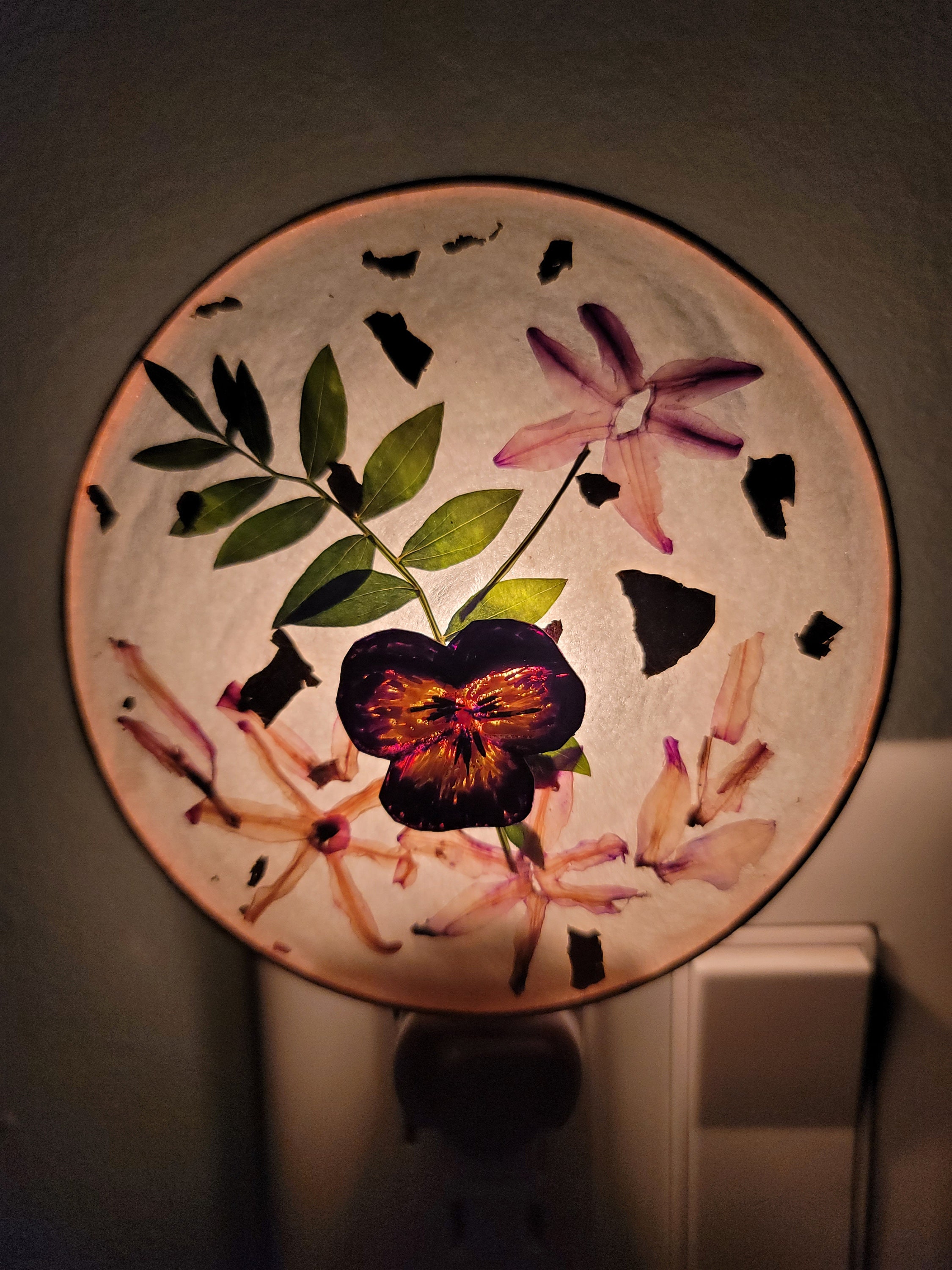 Acrylic Night Light Wall Plug, Real Pressed Flowers, Manual ON/OFF ...