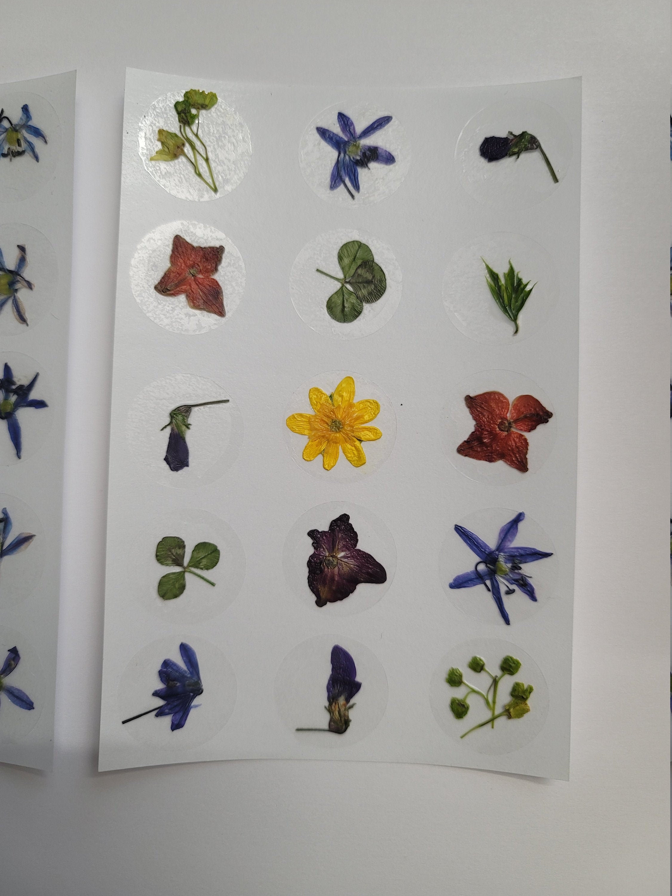 30-real-pressed-flower-clear-stickers-for-wedding-invites-etsy