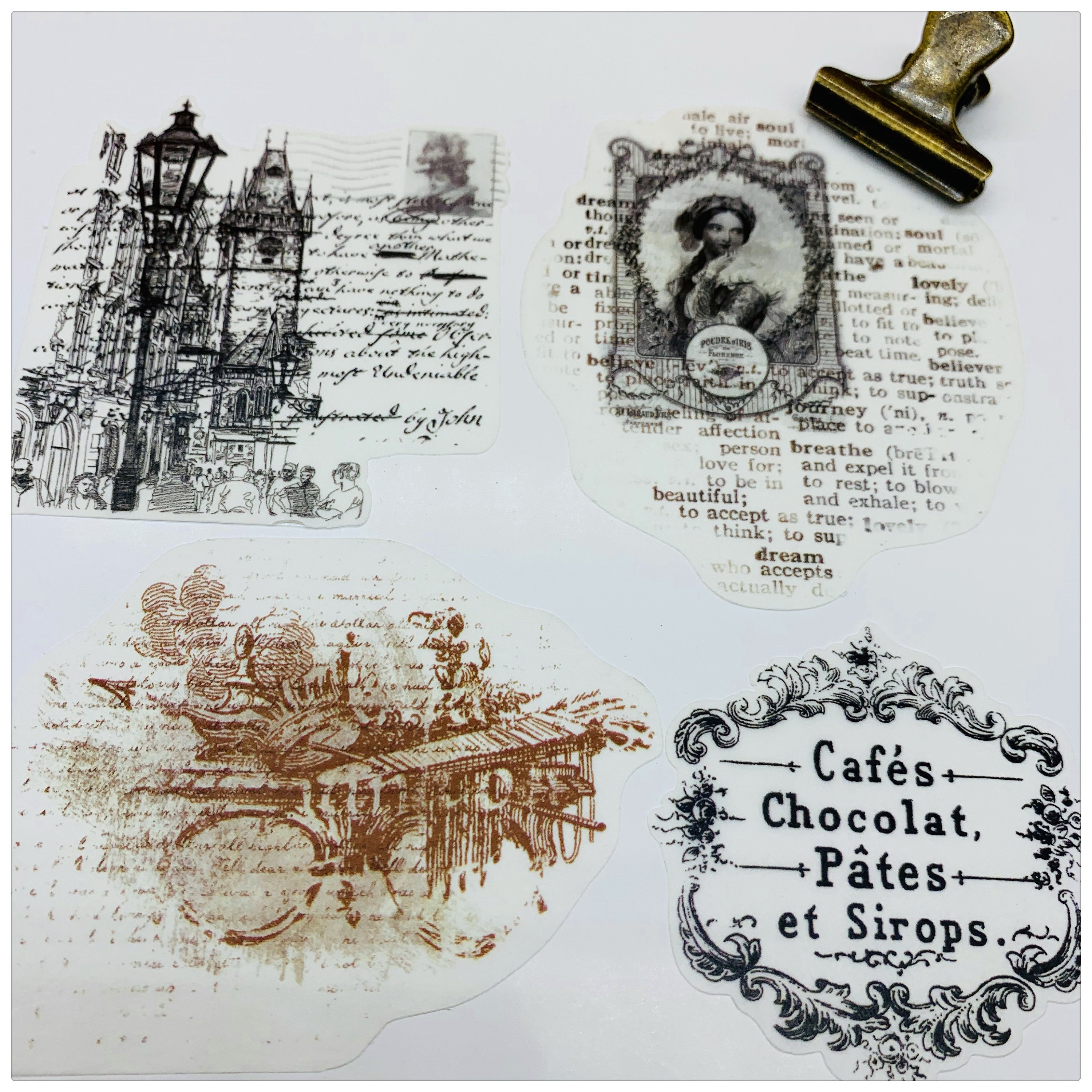 Vintage Stickers Set flakes Stickerscute Stationaryflower - Etsy