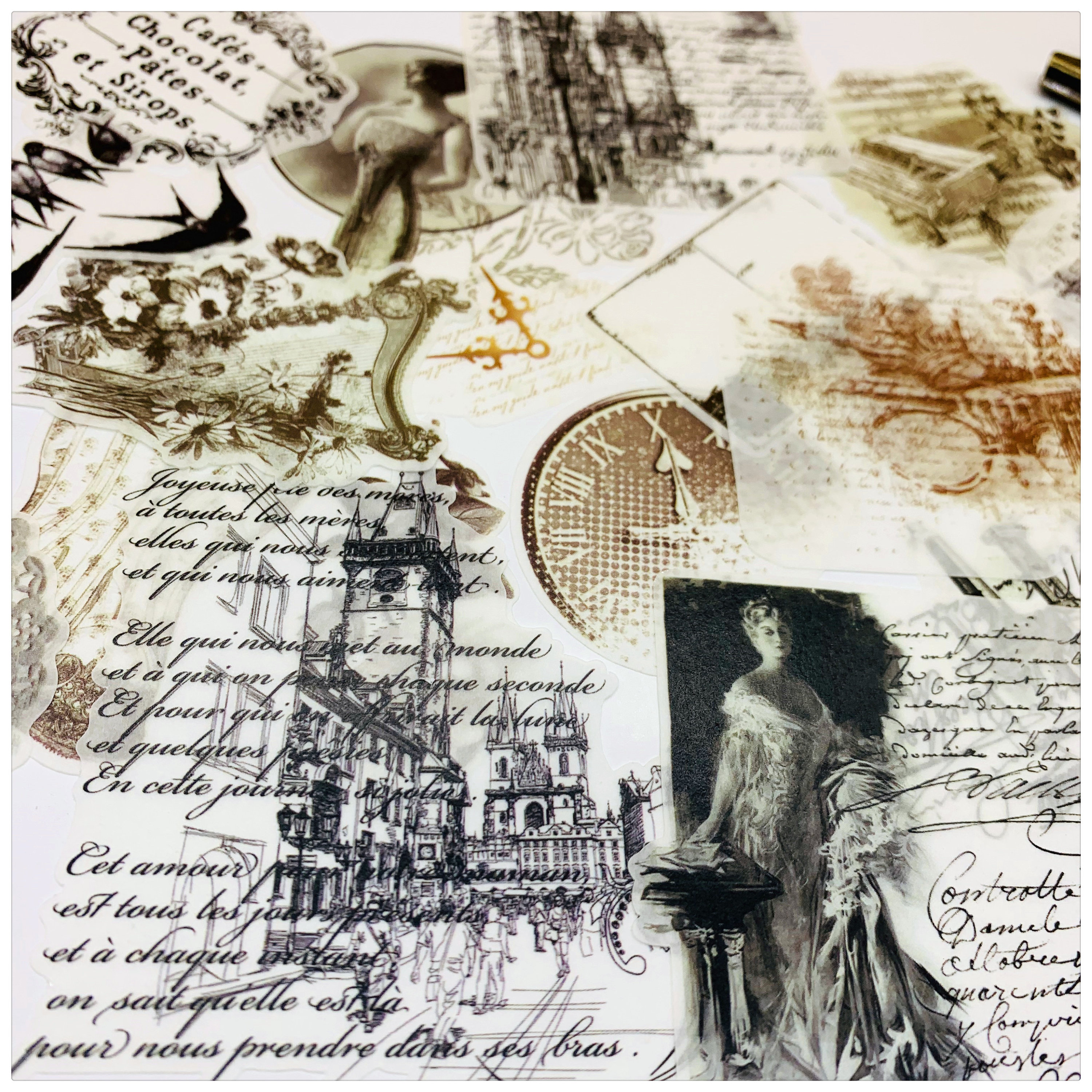 Vintage Stickers Set flakes StickersCute StationaryFlower | Etsy