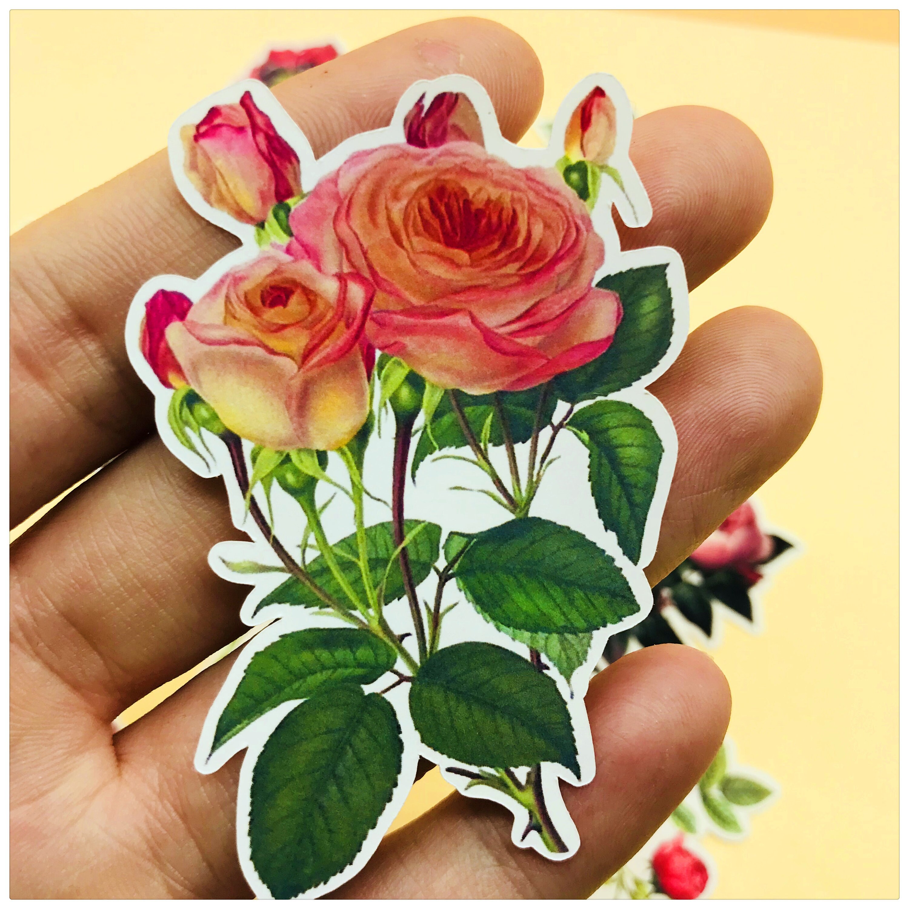 Retro Flower Stickers Set16 Pcs Rose Stickersplant - Etsy