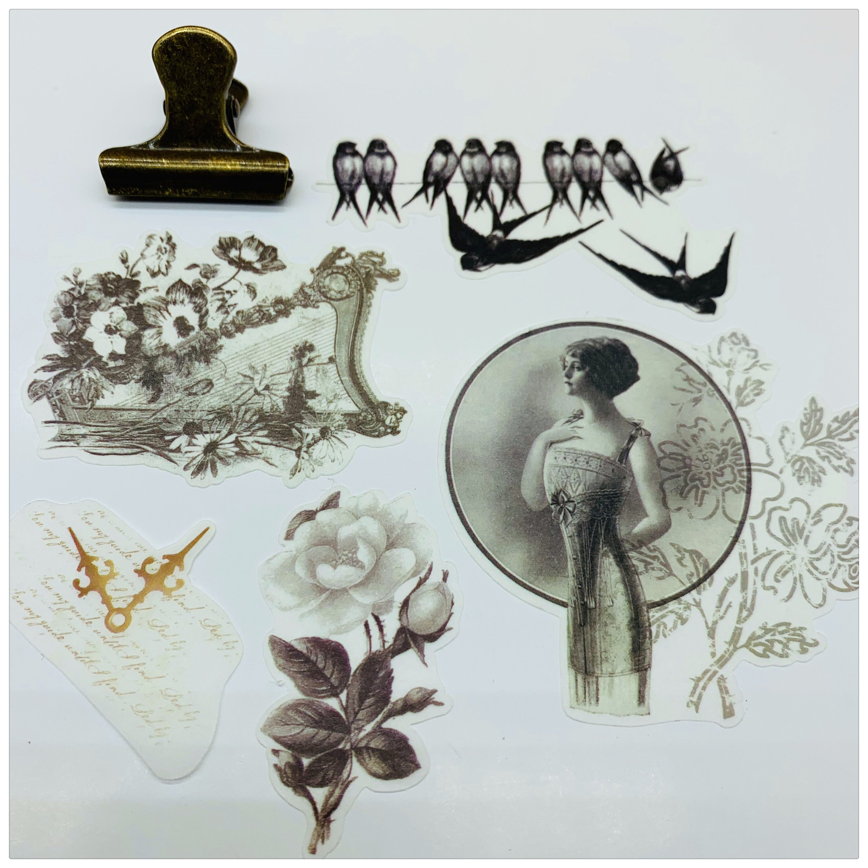 Vintage Stickers Set flakes Stickerscute Stationaryflower - Etsy