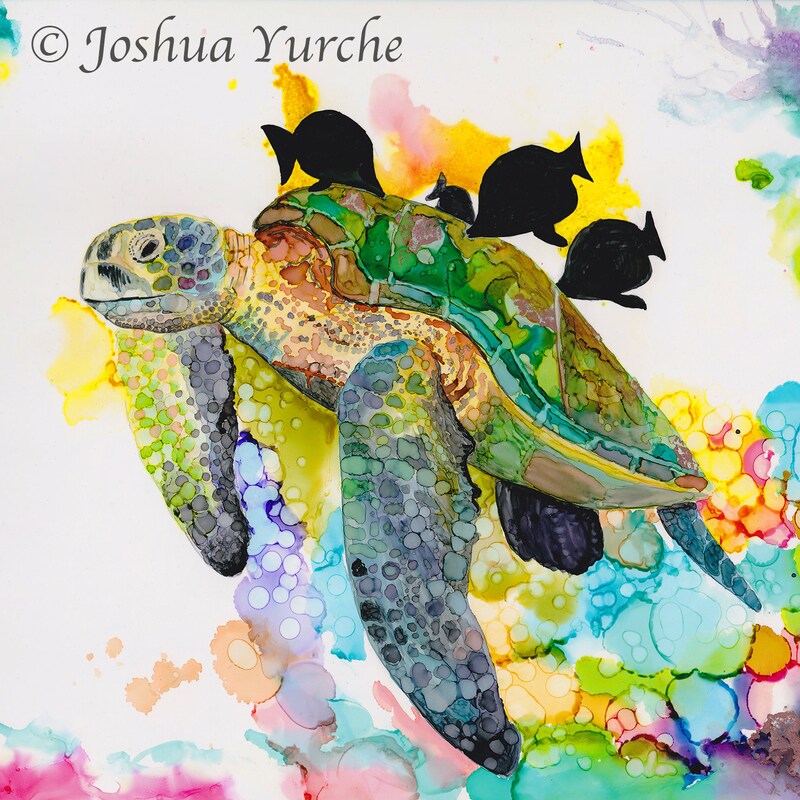 Honu Painting - Etsy