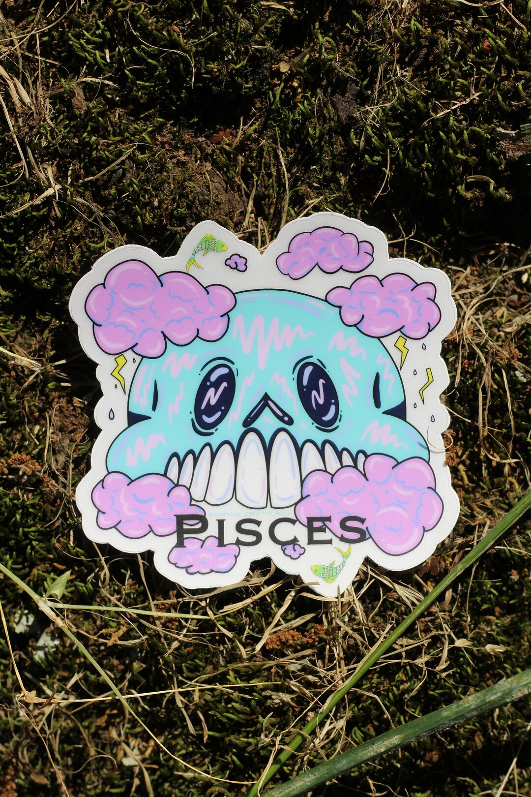 Pisces Clear Weatherproof Vinyl Sticker - Etsy