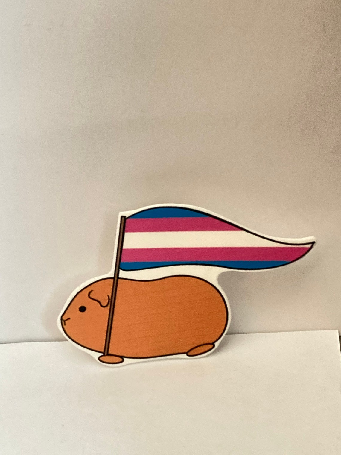 Pride Flag Guinea Pig Pin - Etsy