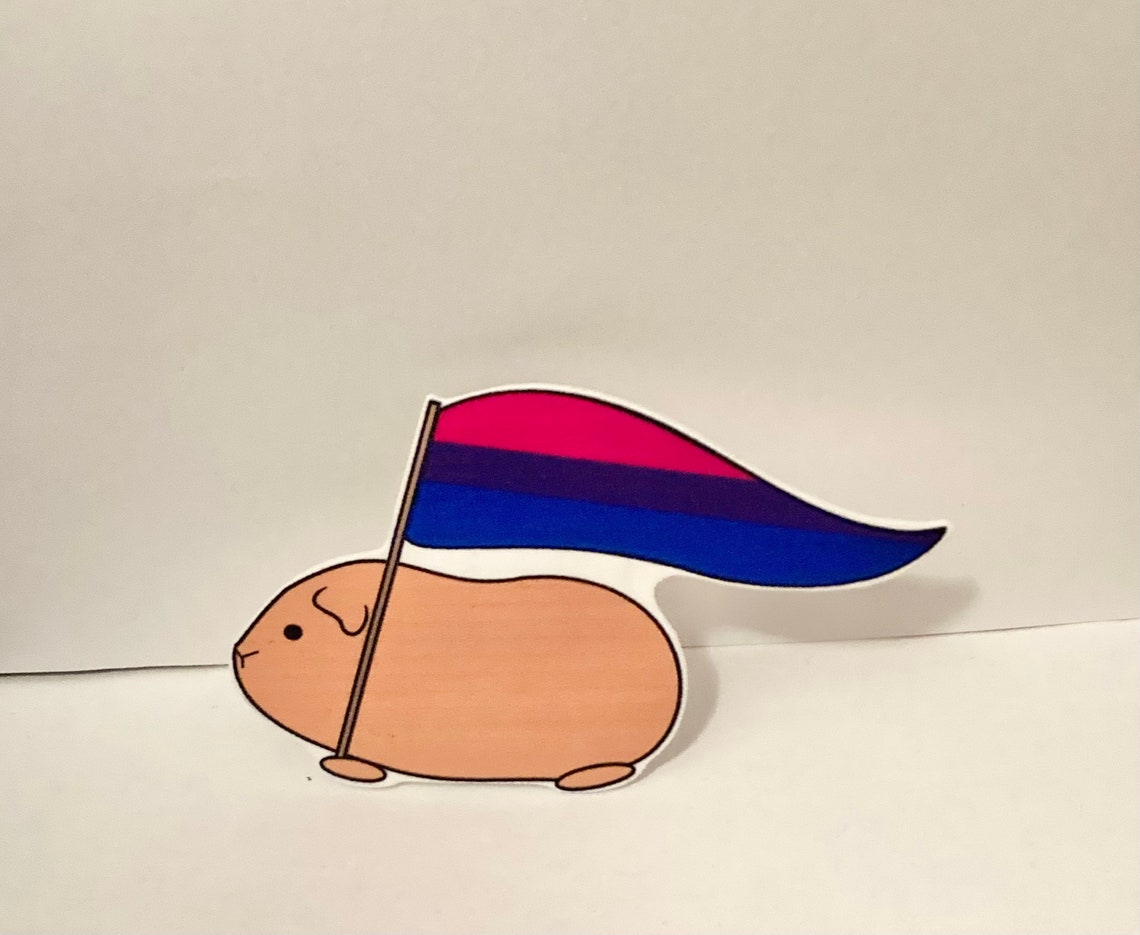 Pride Flag Guinea Pig Pin - Etsy