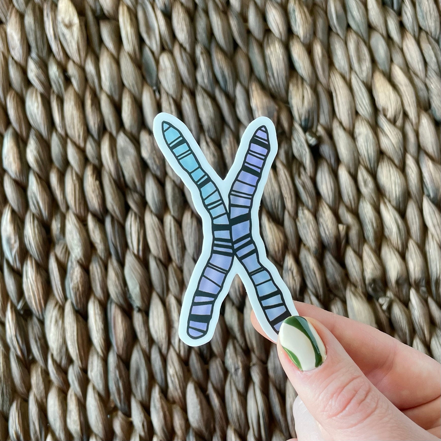 Chromosome Sticker Gift for Scientist Genetics Sticker - Etsy