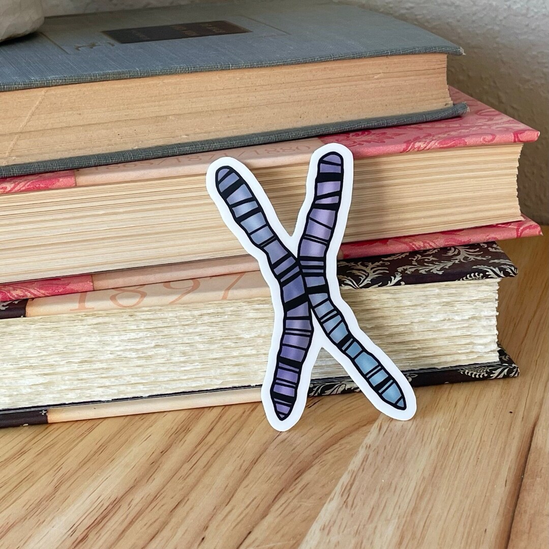 Chromosome Sticker Gift for Scientist Genetics Sticker Graduation Gift ...