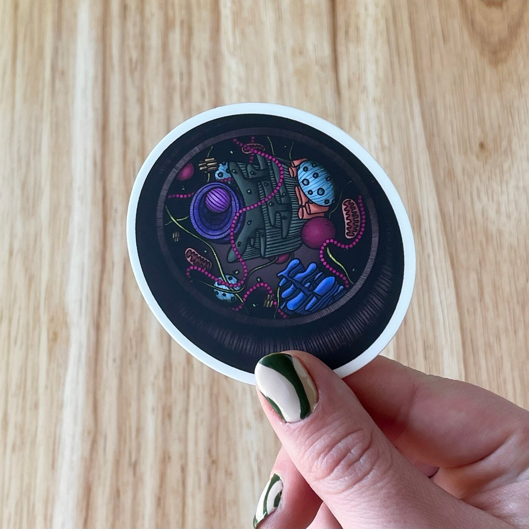 Cell Sticker Gift for Scientist Microbiology Sticker Graduation Gift ...