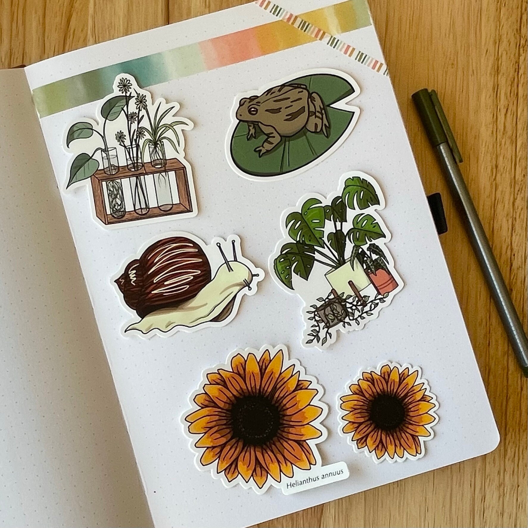 Plant Propagation Tubes Sticker Gift for Plant Lover Plant - Etsy