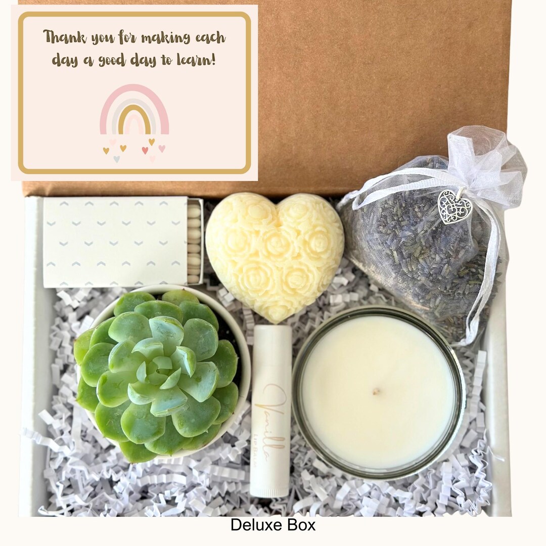 TEACHER APPRECIATION Gift Box With Candle & Succulent, Live Plant ...