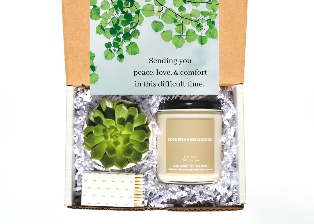 Sending PEACE LOVE and Comfort Gift With Succulent and 8 Oz Candle ...